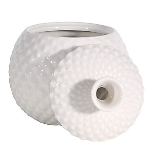 Fruit Fly Jar Trap for Kitchens - Decorative, Effective, Kid and Pet Friendly (White)