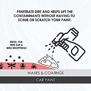 WASH&WHIPS Hockenheim Bug Remover - for Dead Insects, Droppings and Grease for Car Detailing, RVs, Trailers, Boats, Professional Strength Dissolves without Scratching, 16 fl oz