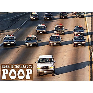 Honk If You Have to Poop Prank Bumper Sticker 10 Pack by Witty Yeti. Play a Funny Practical Joke on Your Friends With The Number 2 Most Offensive Window Decal. Hilarious Driving Gag Gift & Car Novelty