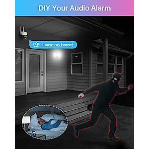 ZOSI C289 1080P WiFi Pan/Tilt Outdoor Security Camera,Home Surveillance PTZ IP Camera,Smart Light Siren Alarm,Color Night Vision,2-Way Audio,Person Vehicle Detection,Phone Remote,Waterproof Setting