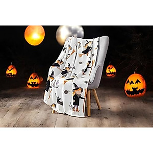 Halloween Throw Blanket: Cute Girl Witch with Faithful Cat Surrounded by Spiders and Bats Print on Fuzzy Soft Velvet Fleece Throw Blanket