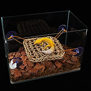 DQITJ Hermit Crab Hammock Natural Seagrass Fibers Hammock Small Reptile Climbing Toys Tank Accessories (Square Shape)