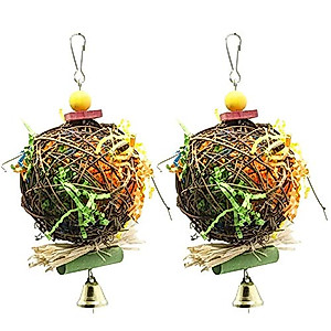 EBaokuup 2 Pack Bird Chewing Toys Foraging Shredder Toy Parrot Cage Shredder Toy Foraging Hanging Toy for Cockatiel Conure African Grey Amazon
