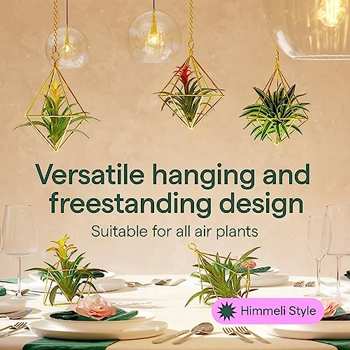 Air Plant Holders w/Hooks & Chains - Indoor Air Plants and Holders Sets, Freestanding & Wall Hanging Planters - 5 Geometric Shapes Air Plant Holder - Hanging Air Plant Holder