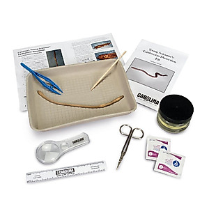 Carolina's Young Scientist Earthworm Dissection Kit