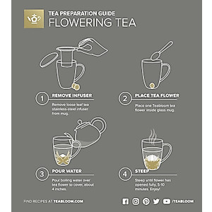 Teabloom Double-Wall Borosilicate Glass Mug with Stainless Steel Infuser and Lid – 15 OZ / 430 ML – 2 Gourmet Tea Flowers Included