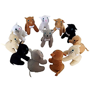 Plush Cats, Cute Plush Kittens - Party Packs! (Cute Cats)
