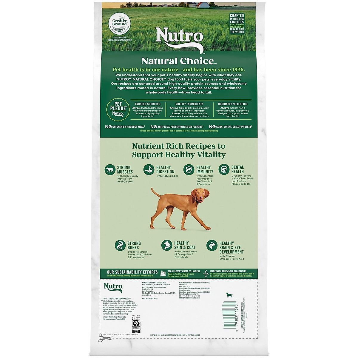 Natural Choice Puppy Dry Dog Food, Chicken and Brown Rice Recipe, Omega-3 Fatty Acids 100% Complete and Balanced Nutrition, 5 Lbs.