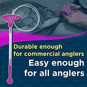 Xtrada IKEJIME KIT Authentic Ike Jime Tools: Ikijime Fish Spike With Wire Stainless Steel (Imported From Japan) Magenta Iki Jime Handle Long Ikejime Kit