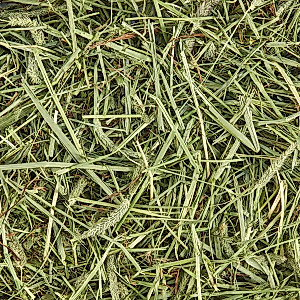 Kaytee Timothy Mini Bale For Pets, 24-Ounce, 6-Case