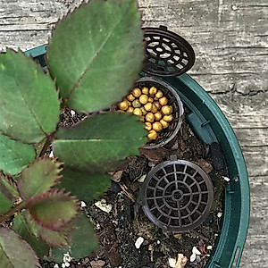 40 Pcs Fertilizer Bonsai Fertilizer Cakes Mesh Baskets Garden Nursery Cutting Rooting Baskets Bonsai Fertilizer Box Fertilization Control Container