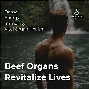 Ancestral Supplements Grass Fed Beef Organ Supplement, Supports Whole Body Wellness with Proprietary Blend of Liver, Heart, Kidney, Pancreas, Spleen, Freeze-Dried Beef, Non-GMO, 180 Capsules