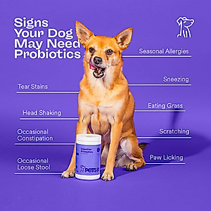 Pets 52 - Digestive Dog Probiotics with Enzymes - Supports Healthy Gut Flora, Boosts Immune System, Promotes Stomach Comfort, Vet-Strength Formula for Improved Digestion - 30-Day Results