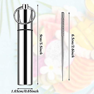 Portable Mini Pocket Titanium Toothpick Holder with 10 Pieces Reusable Titanium Toothpicks Waterproof Toothpick Case Toothpick Fruit Picks with Keyring for Outdoor Picnic Camping Traveling Supplies