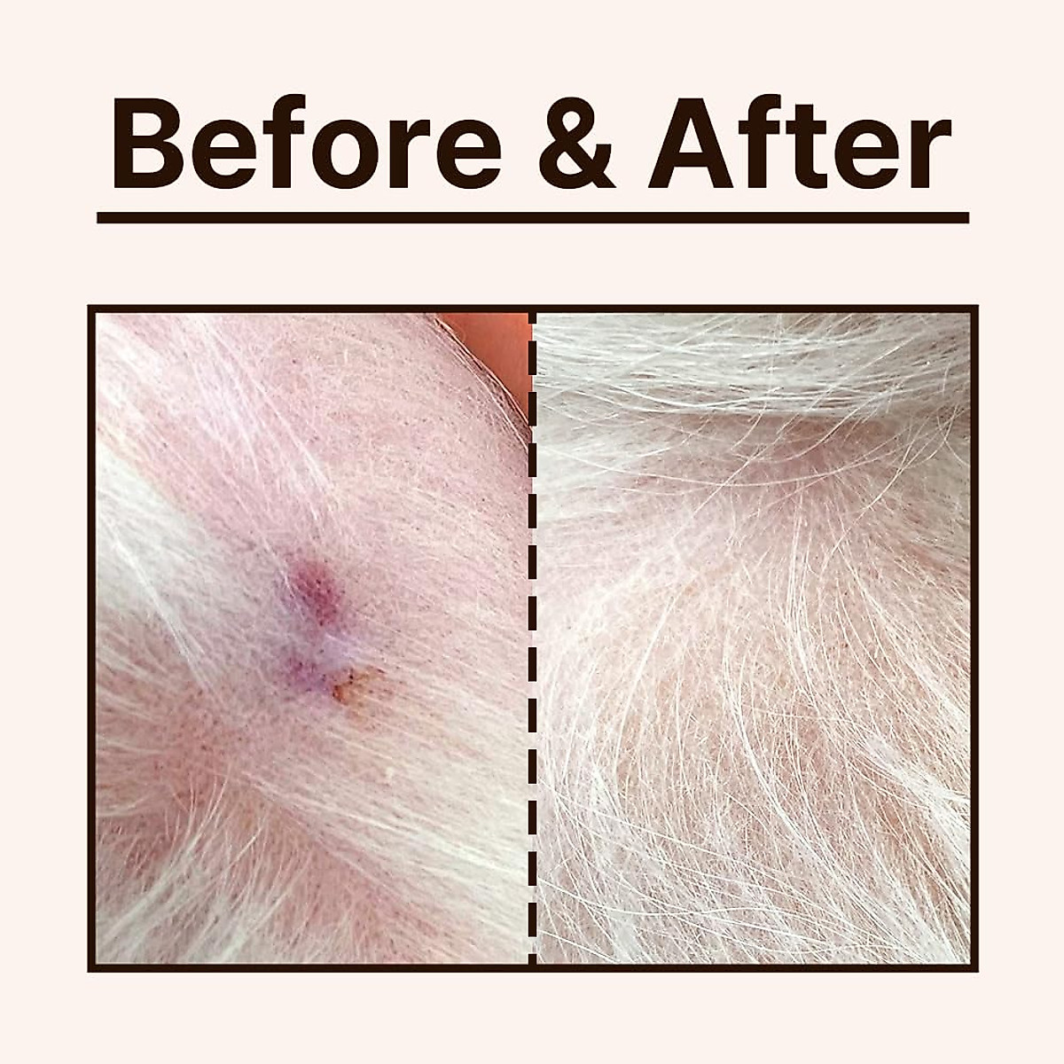 BYLAB Skin Care Dog pet Skin Disease kucing Sensitive Ointment Cream, white