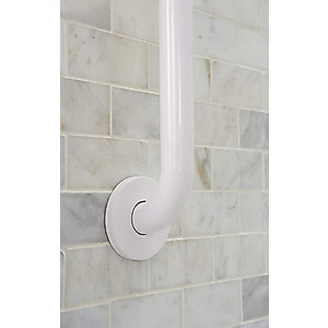 Glacier Bay 24 in X 1 1/2 in Concealed grab Bar...White