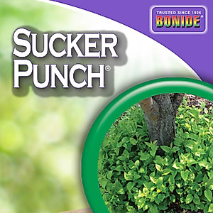Bonide Sucker Punch, 8 oz Ready-to-Use Sprout Control Liquid with Brush Applicator, Plant Growth Regulator
