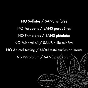 Shea Moisture Moisture African Black Soap Bamboo Charcoal Deep Balancing Conditioner Unisex Conditioner 13 Fl Oz (Pack of 1)