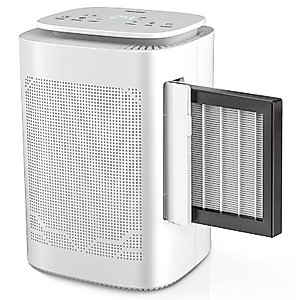 THECOSKY Dehumidifier and Air Purifier Combo,HEPA H13 Filter and Negative Air Ion Function,54oz(1.6L) Water Tank with Drain Hose,24hrs Auto-Off Timer,Idea for Bedroom,Bathroom,Closet,RV