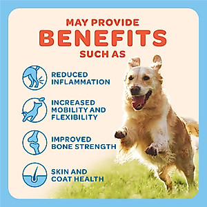 Trusty Paws Beef Collagen Sticks for Dogs - One Ingredient Collagen Chews - USA Beef Collagen Dog Chews Long Lasting - 10oz Bag, 15 Collagen Chew Sticks for Dogs