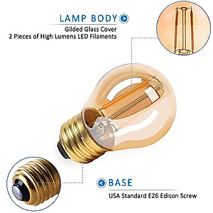 Panledo 2 Watt Vintage Edison LED Bulbs, Globe LED Filament Bulb, 2200K Ultra Warm Light, E26 Medium Base, A15 Amber Glass Antique Gold Tint, 25W Incandescent Replacement, Dimmable, Pack of 6