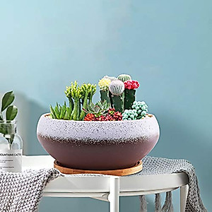 EPFamily 8 Inch Ceramic Round Succulent Planter with Drainage Hole and Bamboo Tray, Modern Large Flower Pot for Herb Garden Bonsai Planting