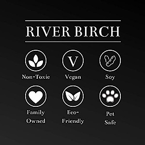 River Birch Candles Leather Scented Candle | Premium, All-Natural, Non-Toxic, Soy Candles | 8 oz. Black Matte Tin Travel Candle | Cozy Relaxing Gifts for Home