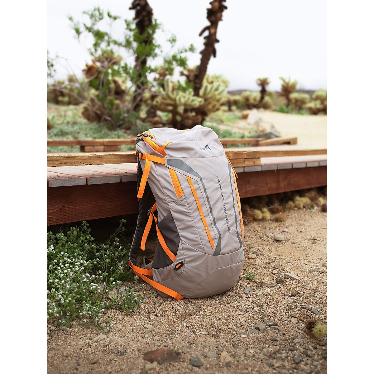 ALPS Mountaineering Gray/Apricot, 40L