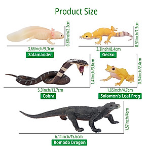 Toymany Reptile Animal Figurine Toys Set, 12 PCS Desert Amphibians Animal Figures with Komodo Dragon Lizard Snake Chameleon Rainforest Cold Blooded Animals Figures Party Favor for Kids