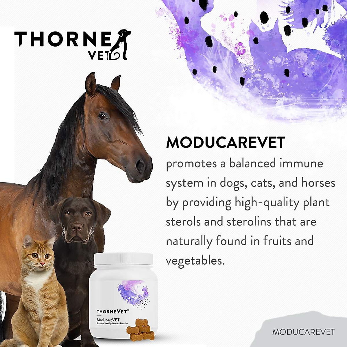 ThorneVet ModucareVET – Immune System Support from Plant Sterols for Dogs, Cats & Horses, 90 Soft Chews