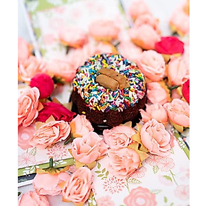 Send a Cake Explosion Box Gift with Flying Butterfly Surprise- Birthday, Holiday, Special Occasion – Birthday Treat for Women, Men, Adults, Kids