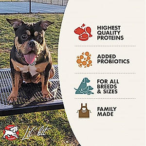 Fromm Heartland Gold Adult Premium Dry Dog Food - Beef Recipe - 4 lb