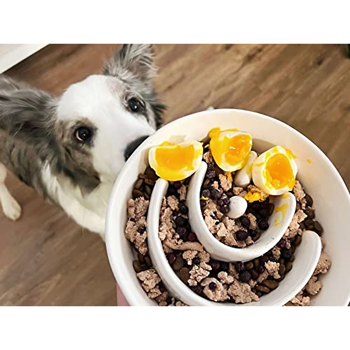 LE TAUCI PET Dog Slow Feeder Bowl Ceramic, Puzzle Dog Food Bowl for Small Medium Large Breed, Puppy Slow Feeder Bowl for Fast Eater, Dog Bowls to Slow Down Eating, Maze Bowl, Pet Bowl