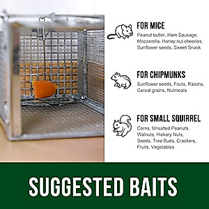 Garsum Humane Mouse Trap, Squirrel Trap, Live Animal Trap, Rodent Cage Catch Mice, Squirrels, Chipmunks, Hamsters for Indoor and Outdoor, Catch and Release, 1 Trap