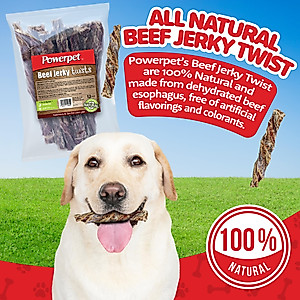 Powerpet Treats Beef Jerky Twists - 100% Natural Dog Chews - High Protein, Low Fat - Made from Premium Beef Esophagus - Promotes Dental Health - Long-Lasting Treats - Great for All Breeds - Pack of 12