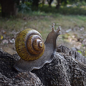 Snail Resin Animal Garden Statue Outdoor and Garden Decor Patio Yard (Snail 7 inch)