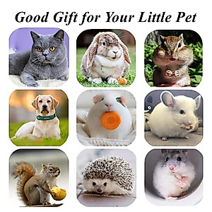 Grembeb Cat Toys Silvervine Chew Stick,Kitten Treat Catnip Toy 10Pack Kitty Natural Stuff with Catnip for Cleaning Teeth Indoor Dental Snack Interactive Exercise Hamster Chinchilla Gerbil Rabbit Bunny