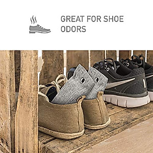 PureGuardian Guardian Technologies CB075 Bamboo Charcoal Air Purifying Bags, Eco-Friendly, Naturally Absorbs Odors, Excess Moisture and Pollutants, 2-pack - 75g each, Gray