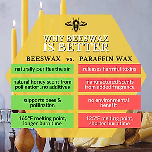 Big Dipper Wax Works Beeswax Upright Songbird Candle, 20-Hour Long Burn, Pure Beeswax Candle 3” x 4” Tall, Spring Candle