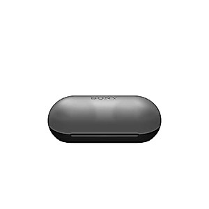 Sony WF-C500 Truly Wireless In-Ear Bluetooth Earbud Headphones with Mic and IPX4 water resistance, Black