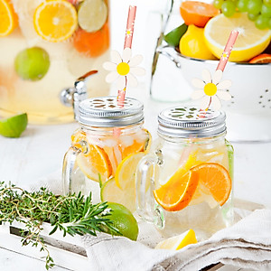 100 Pcs Daisy Paper Straws Daisy Party Decorations Disposable Two Groovy Daisy Straws Flower Straws Floral Pink Straws for Kids Girls Birthday Party Supplies Little Cutie Baby Shower Wedding Decor