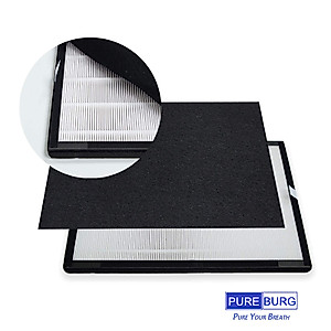 PUREBURG 2-Pack Replacement Set Compatible with GermGuardian AC5600WDLX/AC5600W, FLT5600,FLT56CB4,Filter N