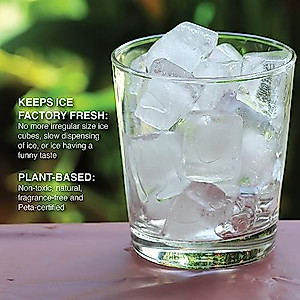 Ginger Lily Farms Botanicals Plant-Based Ice Maker Cleaner & Descaler for All Ice Machines, 32 Uses, Safe for All Metals, 1 Gallon (128 fl. oz.)