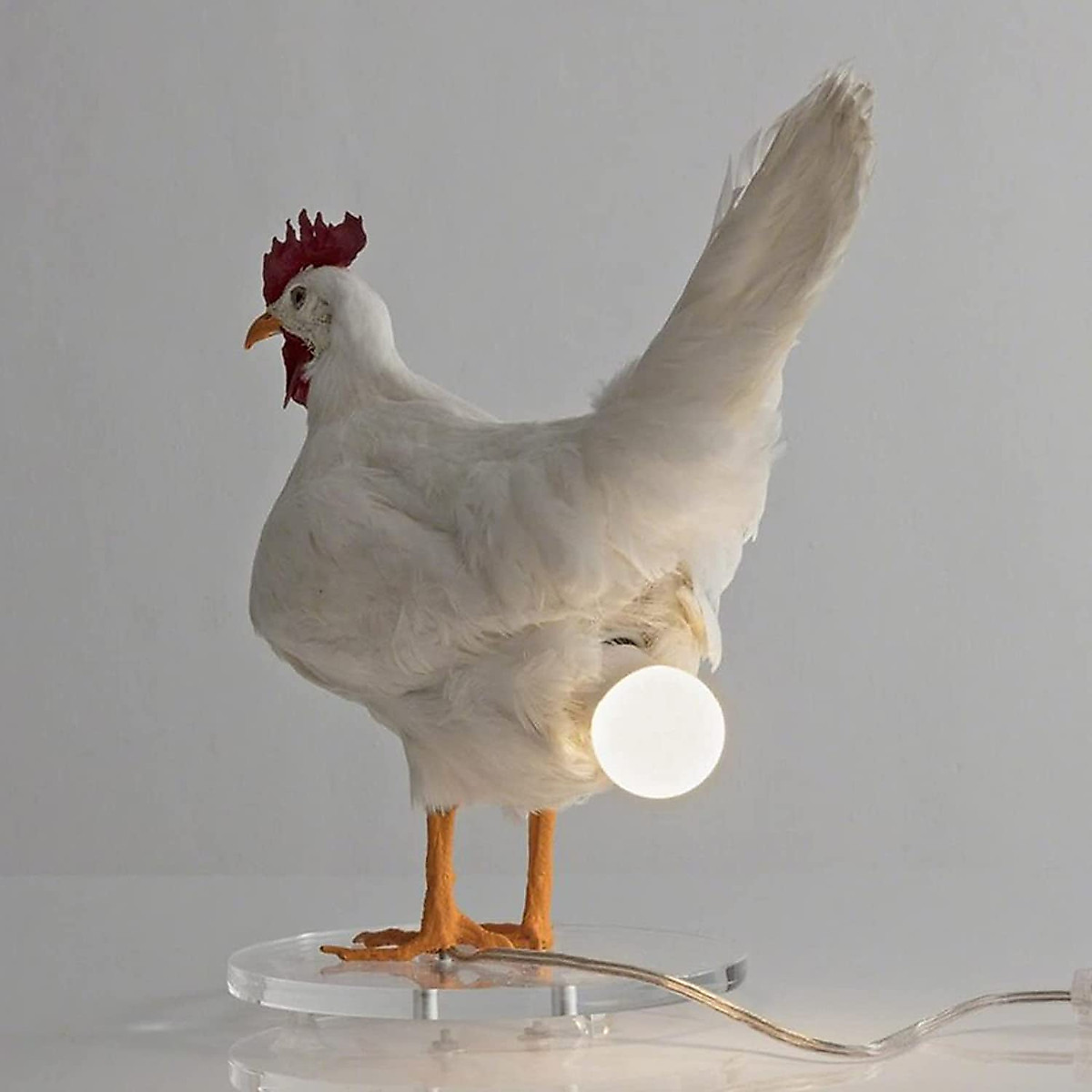RQPQBO 2023 New Chicken Lamp with Egg in Butt Funky LED Chicken Egg Lamp Resin Chicken Lights Table Decor Funny Chicken Desk Lamp Lifelike Unique Lamps for Home Bedroom Living Room Decor (A)