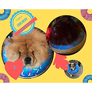 Dog Donut Collar | Great Alternative to a Traditional Dog Cone or a Soft Dog Cone Collar | Our Inflatable Dog Cone is an Excellent Cone for Dogs After Surgery | Dog Cones for Large Dogs (Blue)