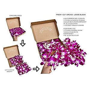 Sunne Tropical OrchidClub USA Loose Bloom Fresh Orchid Flower Head DIY Lei, food & drink decoration (100 PURPLE)