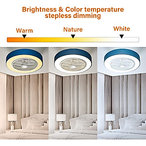 TC-Home Ceiling Fan with LED Light Invisible Blades 22 inches Morden Blue Lighting Color Changing Close to Ceiling Chandelier Fan