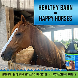 MICROBE-LIFT Horse Manure & Urine Eliminator for Use in Stables and Barns, Use on all Surfaces and Supplies, Ammonia Reducer, Highly Concentrated Formula, 1 Gallon