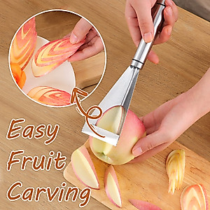 Stainless Steel Fruit Carving Knife - V Shape Channel Knife Tool, Fruit & Vegetable DIY Carving Tool, Food Carving Mold Carving Tool Kitchen Accessories for Home Kitchen DIY Platter Tray Decoration