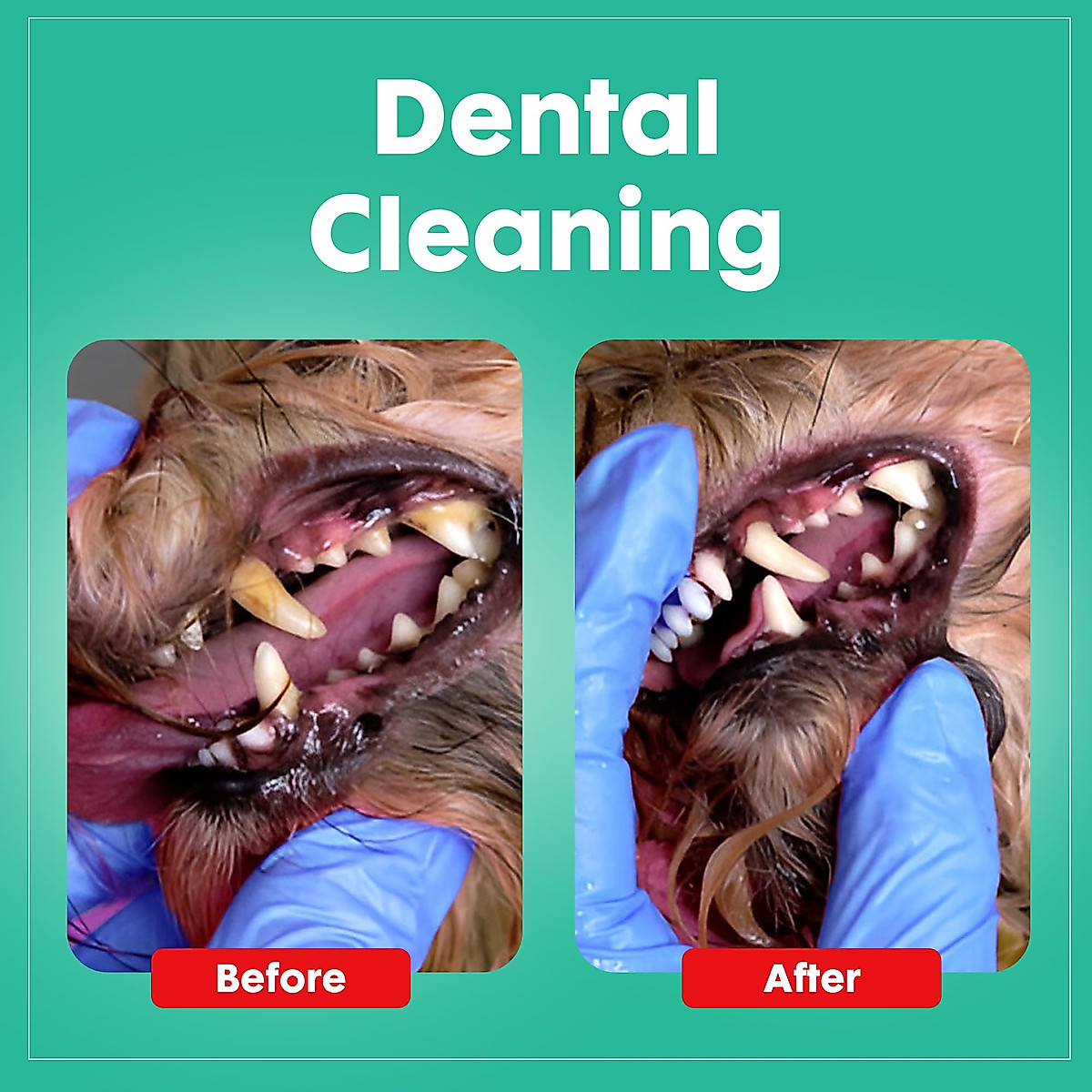 Dog Chew Toys for Aggressive Chewers - Chew Ring Interactive Medium Large Dog Puzzle Toys, Dog Chew Enrichment Toys for Boredom and Brain Stimulating Game Keeps Them Engaged